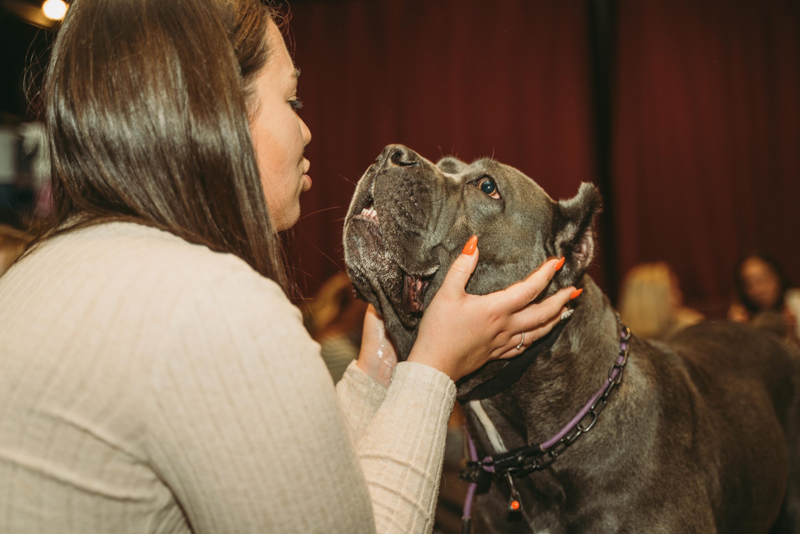 Our Venues - Puppy Love Events