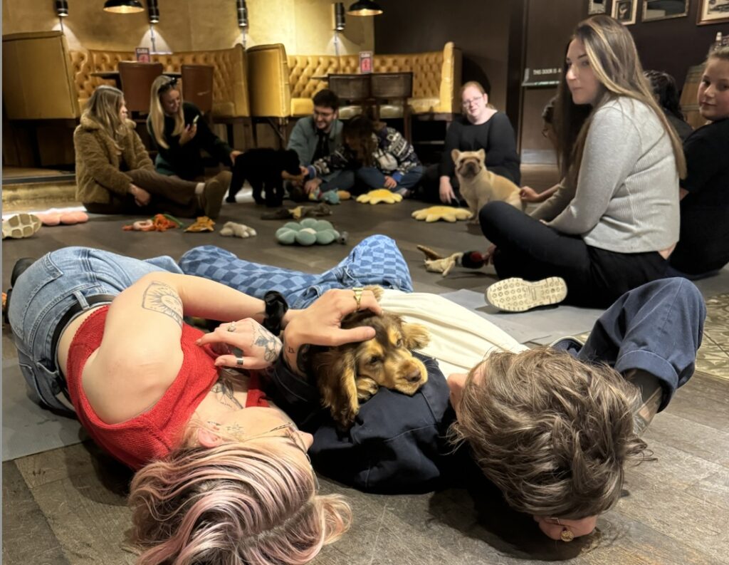 Puppy Love Events - Puppy Love Events